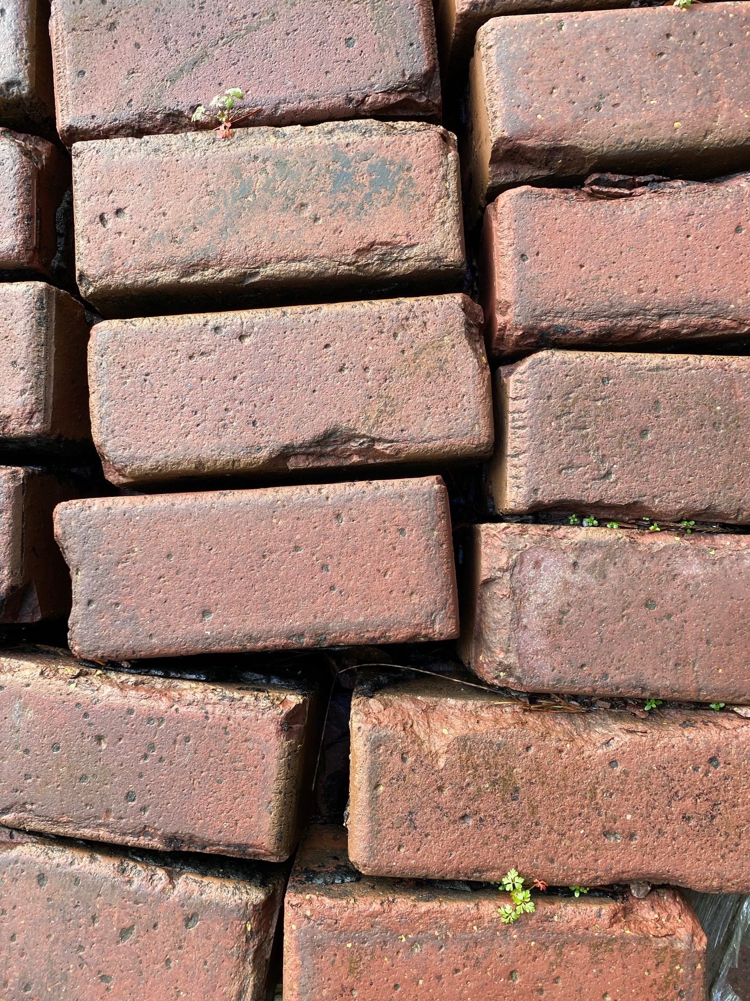 Pavers – Joes Landscaping Supplies